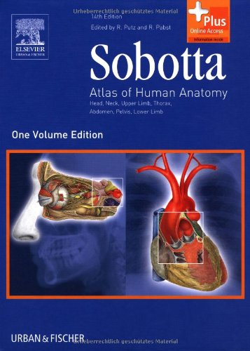 Amazon | Sobotta - Atlas of Human Anatomy Single Volume Edition: Head ...