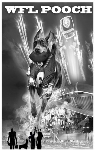 The WFL Pooch: A modern football story: Fogel, EJ: 9781496132369 ...