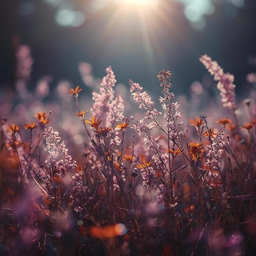 Healing of Mercy by Purple Pirate on Amazon Prime Music