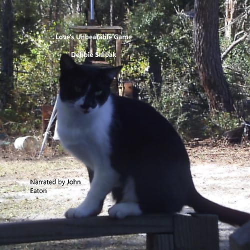 Amazon.com: Love's Unbeatable Game (Audible Audio Edition): Debbie ...