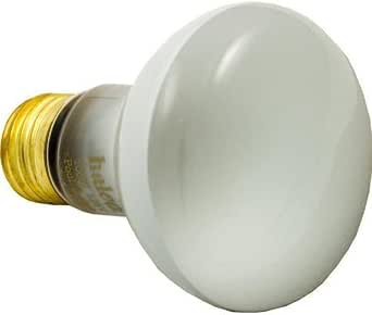 Halco R20FL100/S R20 100W 115V Flood Light Bulb for Pool Lamp : Amazon ...