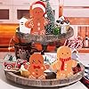 Amazon.com: COCHIE Gingerbread Man Christmas Decorations Indoor, Cute ...