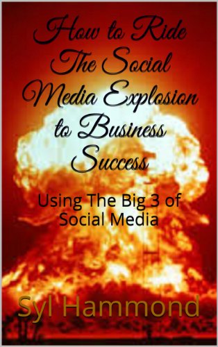How to Ride The Social Media Explosion to Business Success: Using The ...