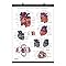 Amazon.com: Palace Learning Heart Anatomy Poster - LAMINATED ...