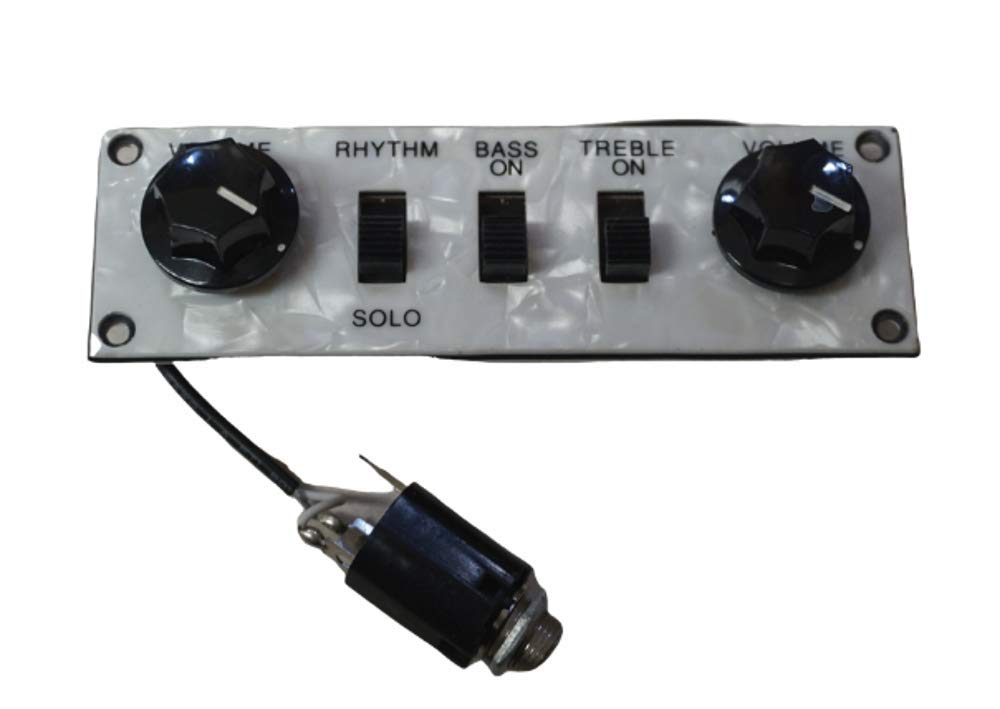 Buy Genuine Hofner Control Panel with jack for Ignition/Icon Series ...