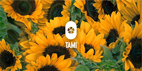 TAMI : Amazon.com.mx