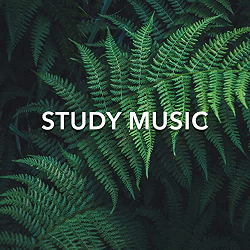 Study Music de Rain Recordings en Amazon Music Unlimited