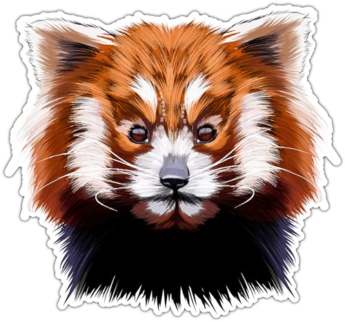Amazon.com: Adorable Red PandaSticker - Chinese Wildlife Vinyl Sticker ...