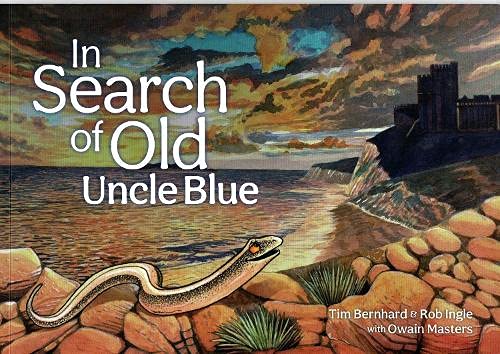 Buy In Search of Old Uncle Blue Book Online at Low Prices in India | In ...