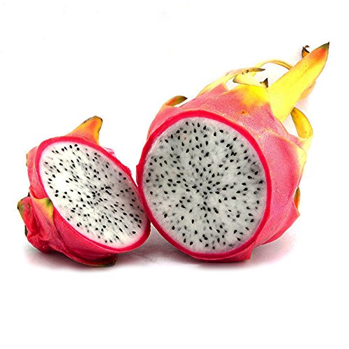 Futaba Pitaya Seeds, WHITE DRAGON Fruit Seeds - 50 pcs : Amazon.in ...