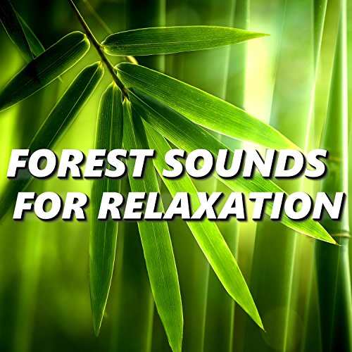 Écouter Forest Sounds for Relaxation par Forest Sounds For Relaxation ...