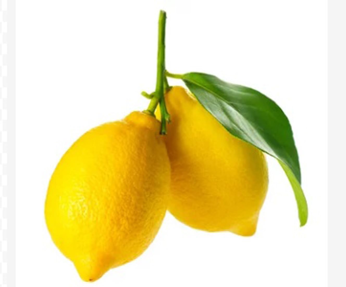 Green View® Alltime Calcutta Pati Lemon Plant, Grafted Nimbu Tree for ...