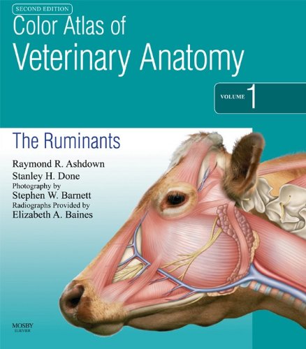 Color Atlas of Veterinary Anatomy, Volume 1, The Ruminants E-Book eBook ...