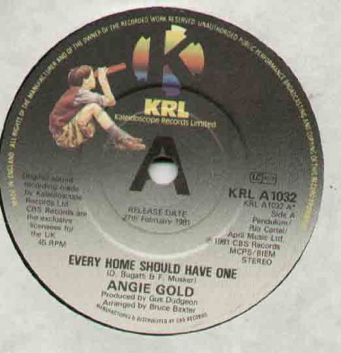 Angie Gold - ANGIE GOLD - EVERY HOME SHOULD HAVE ONE - 7 inch vinyl ...