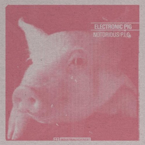 Amazon.com: Notorious P.I.G. : Electronic Pig: Digital Music