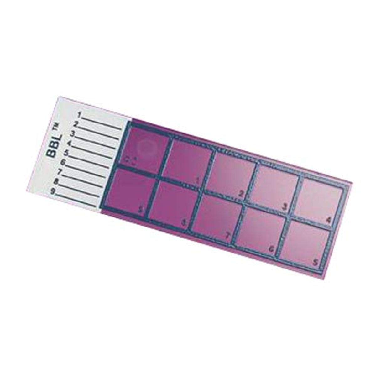 BD Diagnostic 231401 BBL Gram Slide (Pack of 50): Amazon.com ...