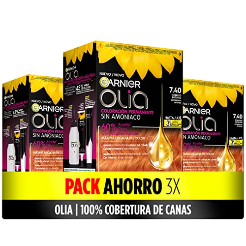 Palette: Carta de colores y opiniones del tinte sin amoniaco - Mi Hogar