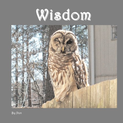 Wisdom : Amazon.in: Books