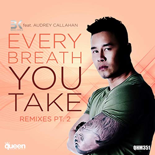 Play Every Breath You Take (The Remixes, Vol. 2) by Big Kid & Audrey ...