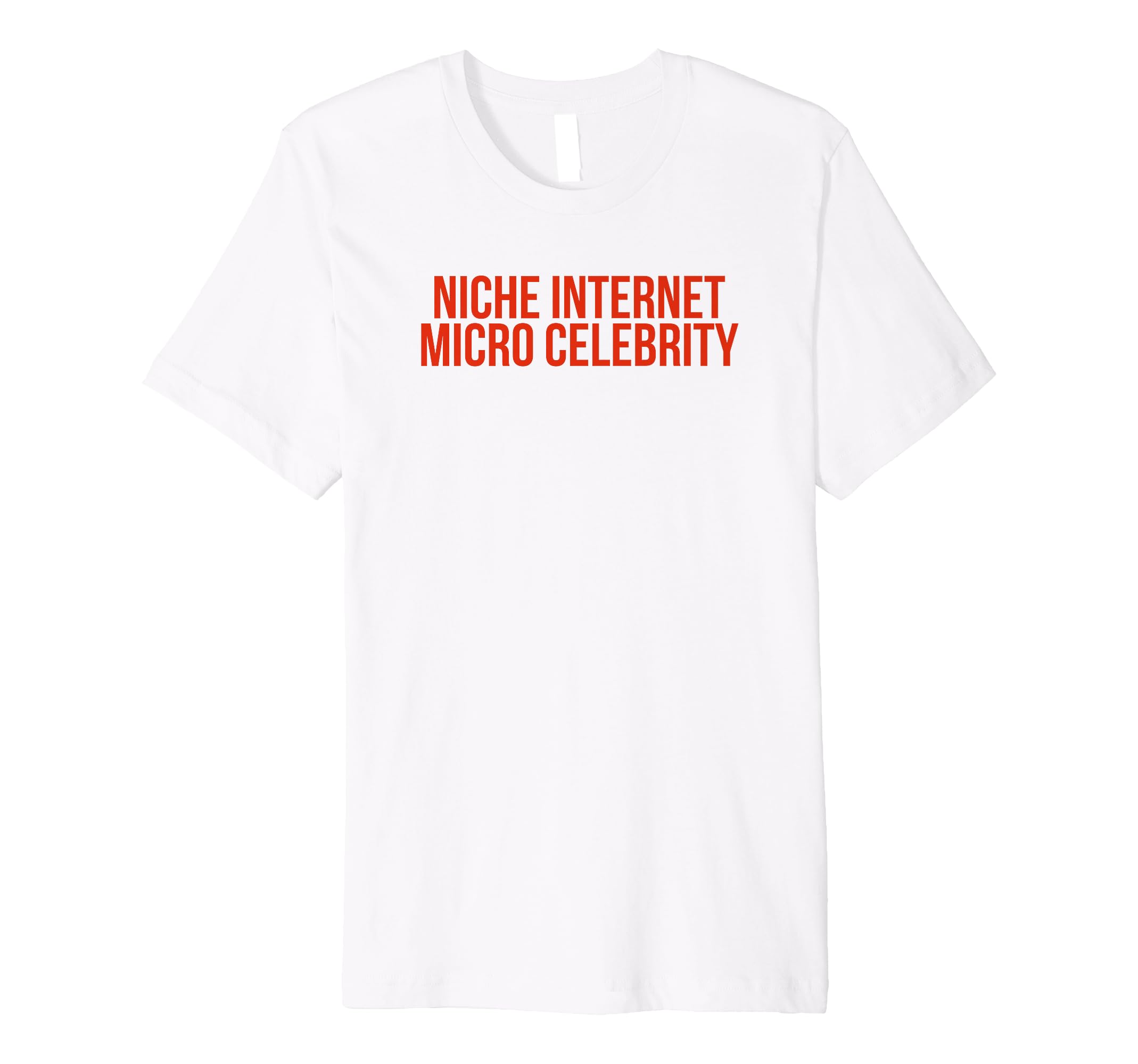 Niche Internet Micro Celebrity Shirt 60 Photos - Moonagedaydream.film