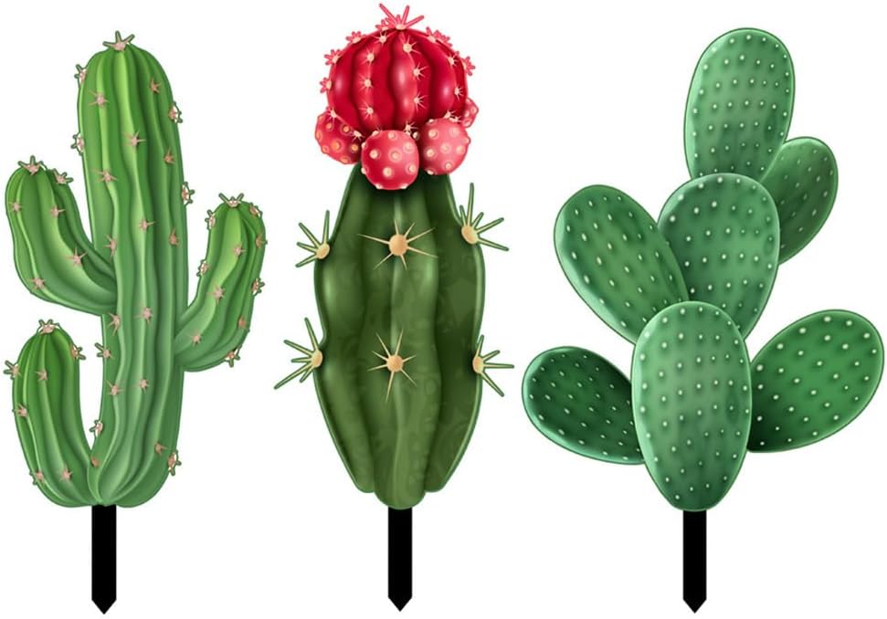 Amazon.com: YARNOW 3Pcs Acrylic Cactus Garden Plant Stakes, Realistic ...