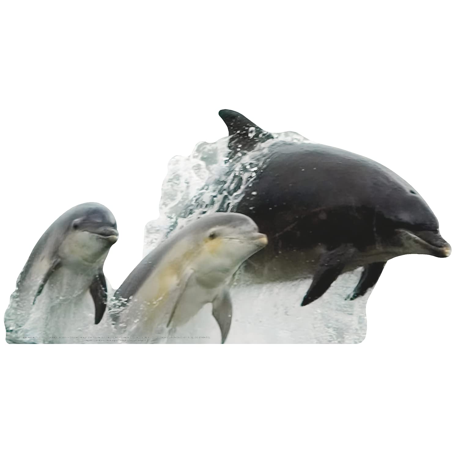 Amazon.com: SP12691 Bottlenose Dolphin Group Jumping Water Splash Dive ...