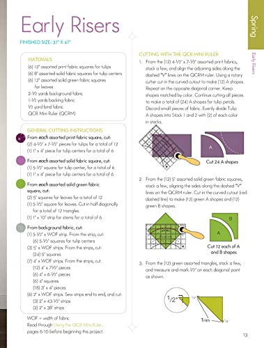 Snapklik.com : Mini Wonderful Curves: 16 Seasonal Quilt Projects Using ...