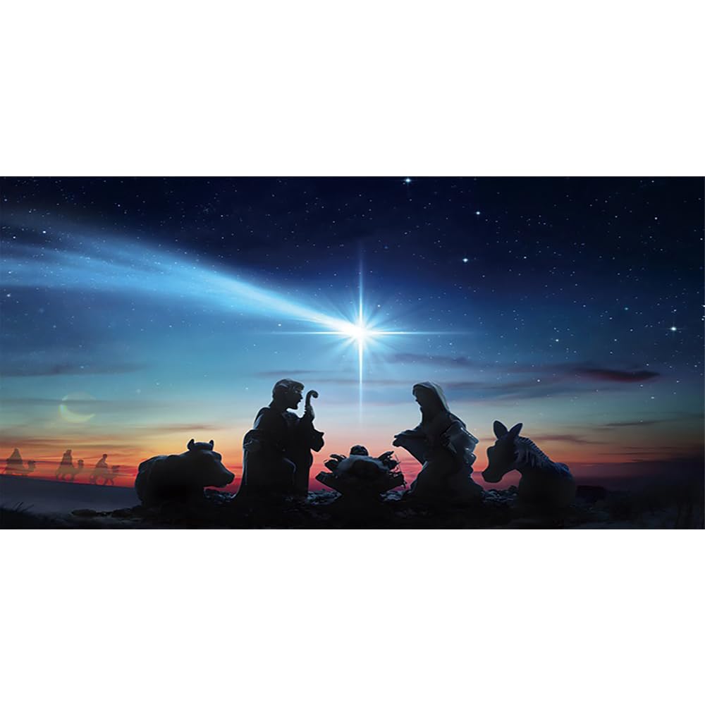 Amazon.com : DORCEV 20x10ft The Birth of Christ Backdrop for ...
