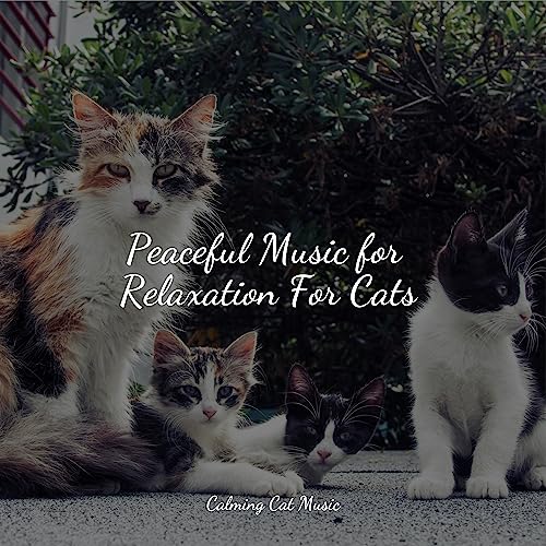 Spiele Peaceful Music for Relaxation For Cats von Music for Relaxing ...