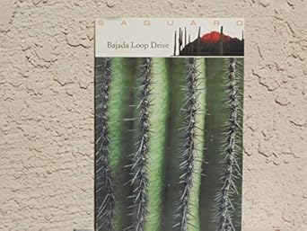 Bajada Loop Drive: Saguro National Monument: Amazon.com: Books