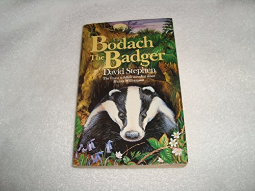Amazon | Bodach the Badger | Stephen, David | Contemporary