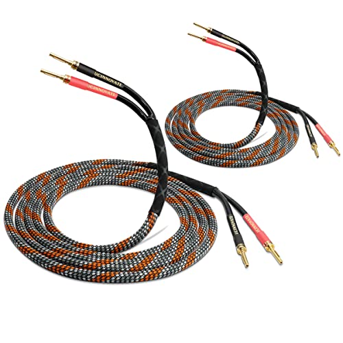 VVFLED 2 Pack 3m Bi-Wire Speaker Cable, Home Theater Premium Speaker ...