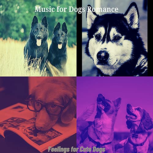 Play Feelings for Cute Dogs by Music for Dogs Romance on Amazon Music