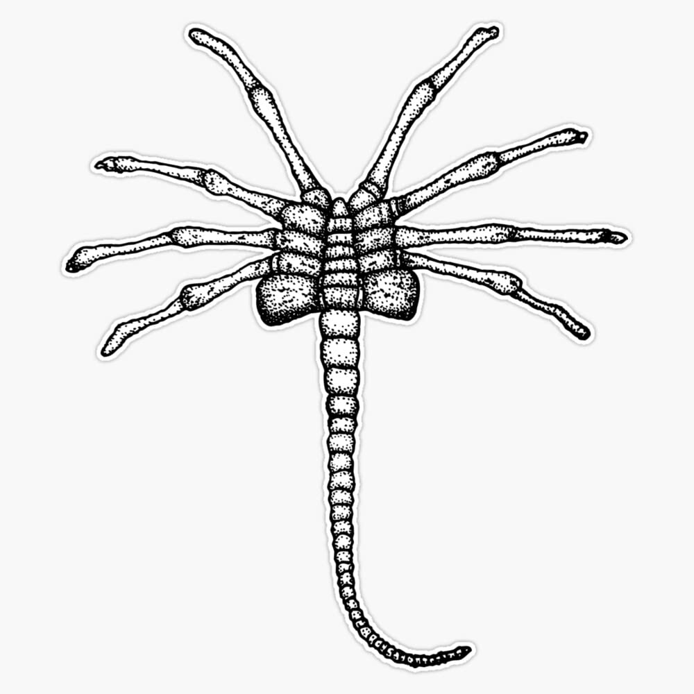 Facehugger Diagram ASMR Drawing Alien Xenomorph | Page Flipping 1 Hour