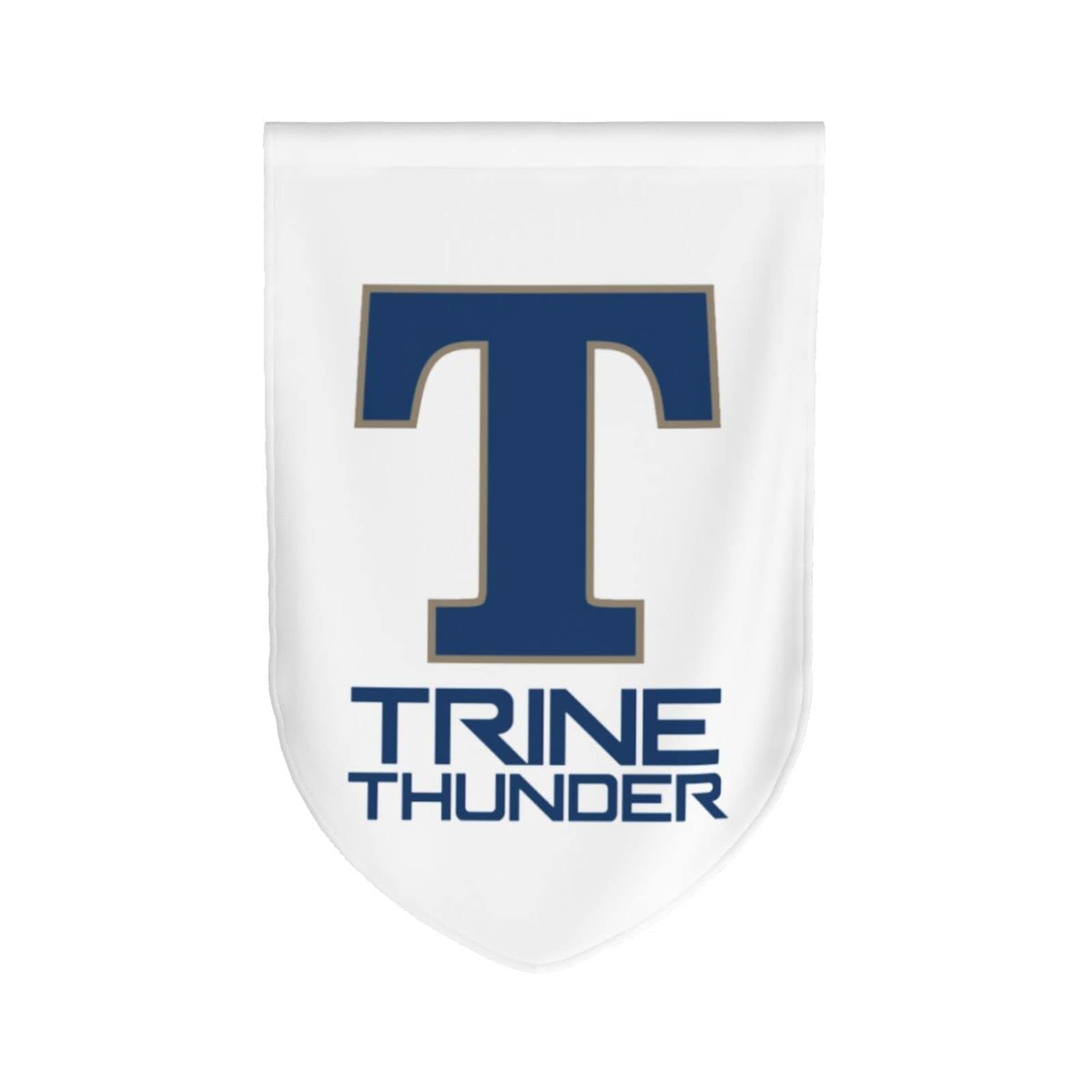 Trine University Logo My Trine FA My Trine Financial Aid) Student