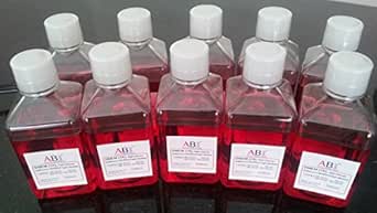 Amazon.com: DMEM High Glucose, Pyruvate, 10 X 500 mL : Industrial & Scientific