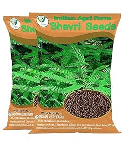 Iagrifarm Shevri Seed - 2 Kg - Fodder Seed for Cultivation : Amazon.in ...