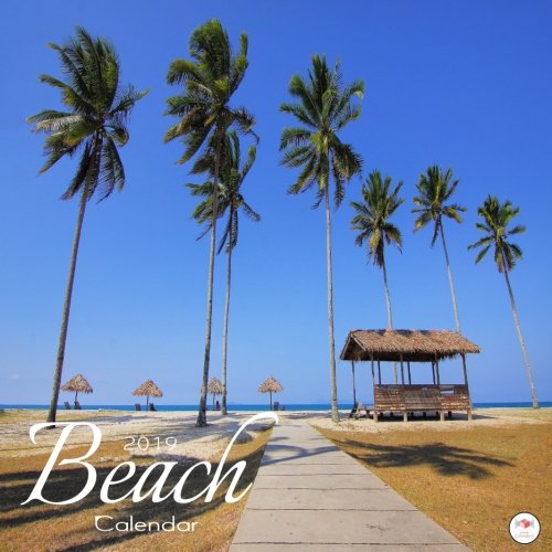 2019 Beach Calendar: 2019 Beaches Wall Calendar Mini 8.5 x 8.5 12 Month ...