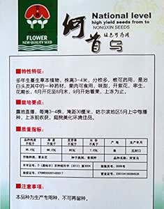 Amazon.com : Fallopia Multiflora Seeds, He Shou Wu, Original Pack ...