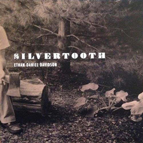 Play Silvertooth by Ethan Daniel Davidson on Amazon Music