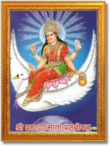 CRAFT QUEST Brahmani Maa Mata Mataji Wall Painting Framed Home Decor ...