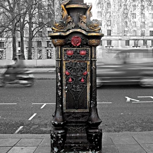 Amazon.com: The World I Want to Leave Behind : Moneen: Digital Music