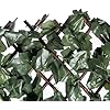 Amazon.com : Naturae Decor Expandable Willow Trellis - Outdoor Privacy ...