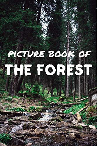 Amazon.com: Picture book of the forest: Photos of forest - Picture book ...
