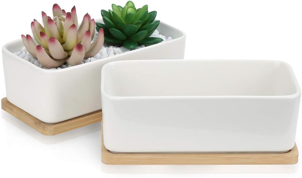 Amazon.com: OAMCEG 2 Pack Succulent Plant Pots 6 Inch Rectangular ...
