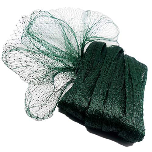 Amazon.com : POYEE Garden Netting for Bird Green Net Provide Better ...