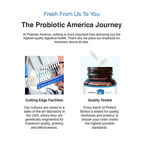 Probiotic America® Perfect Biotics 30 Billion CFUs Digestive & Immune ...