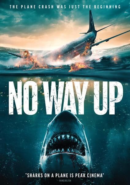 Amazon.com: No Way Up [DVD] : Claudio Fäh, Phyllis Logan, Colm Meaney ...