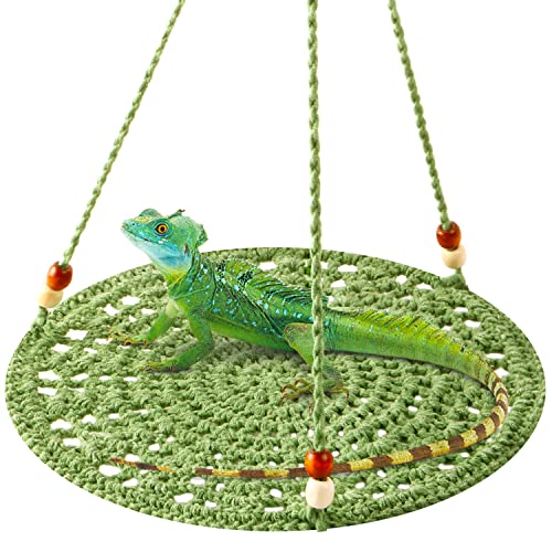 Amazon Best Sellers: Best Bird Swings