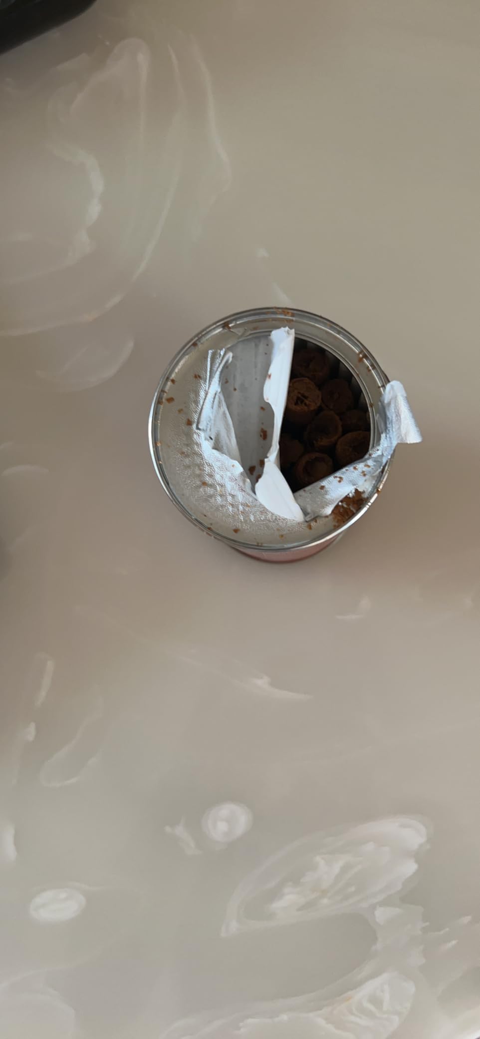 Caprice Classic Delicious Wafer Roll Sticks with Hazelnut and Cocoa ...